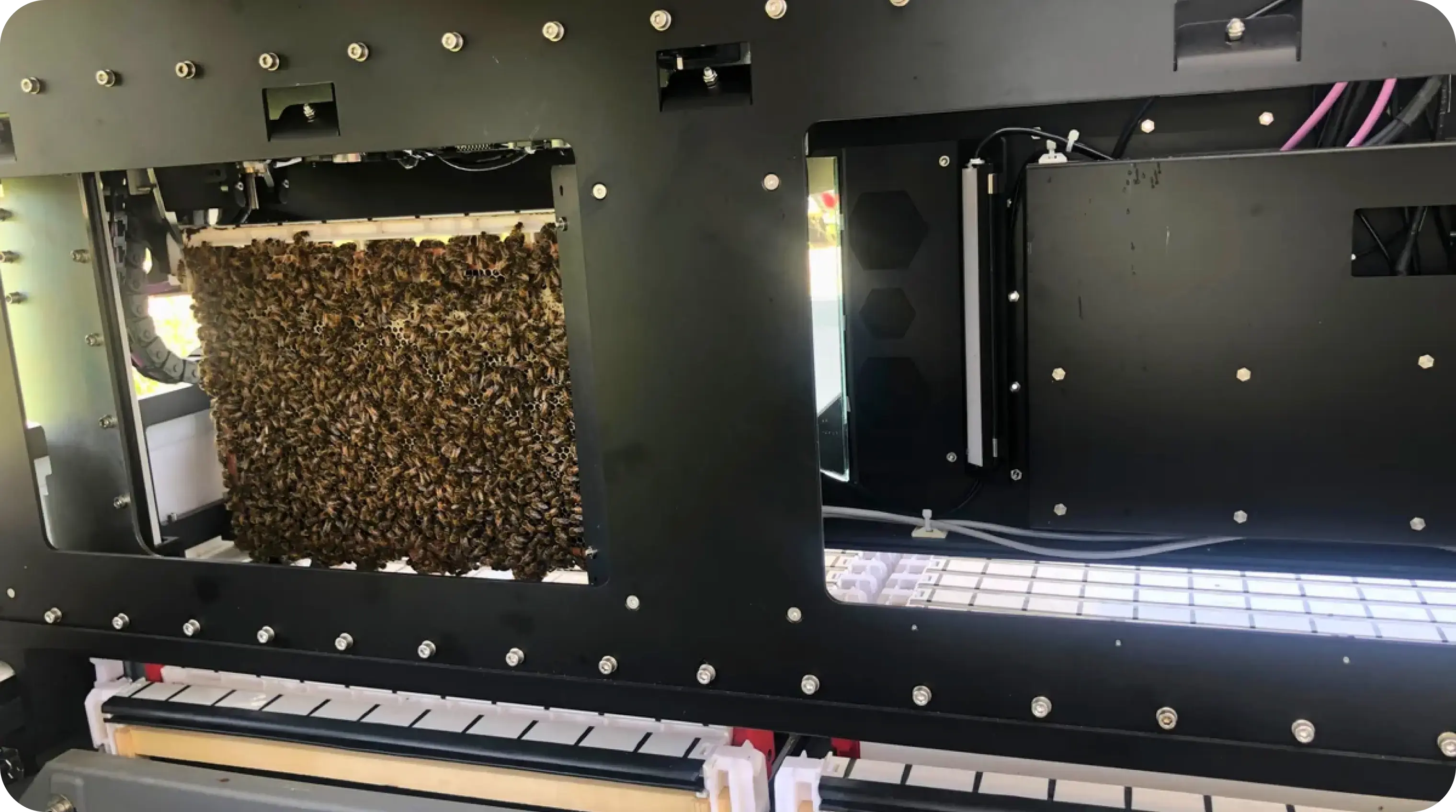 AI and Robotic Powered Hives for Beekeepers | Beewise